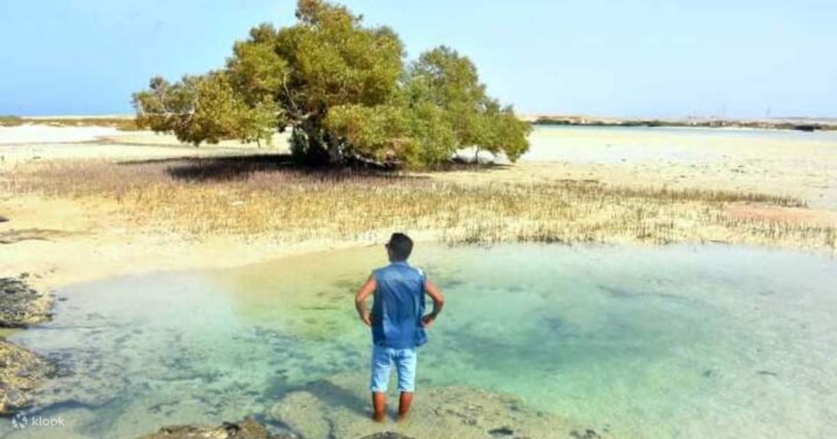 Port Ghalib: Công viên quốc gia Wady Elgemal - Klook Việt Nam