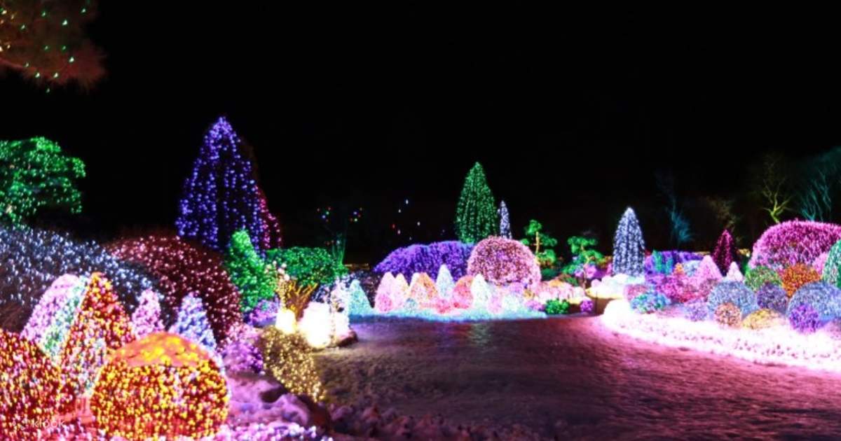 Starlight Festival of the Garden of Morning Calm - Klook