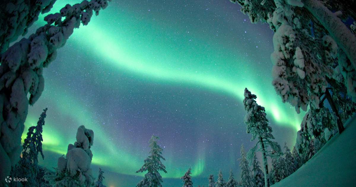 Northern lights hunting photo tour from Levi - Klook United Kingdom