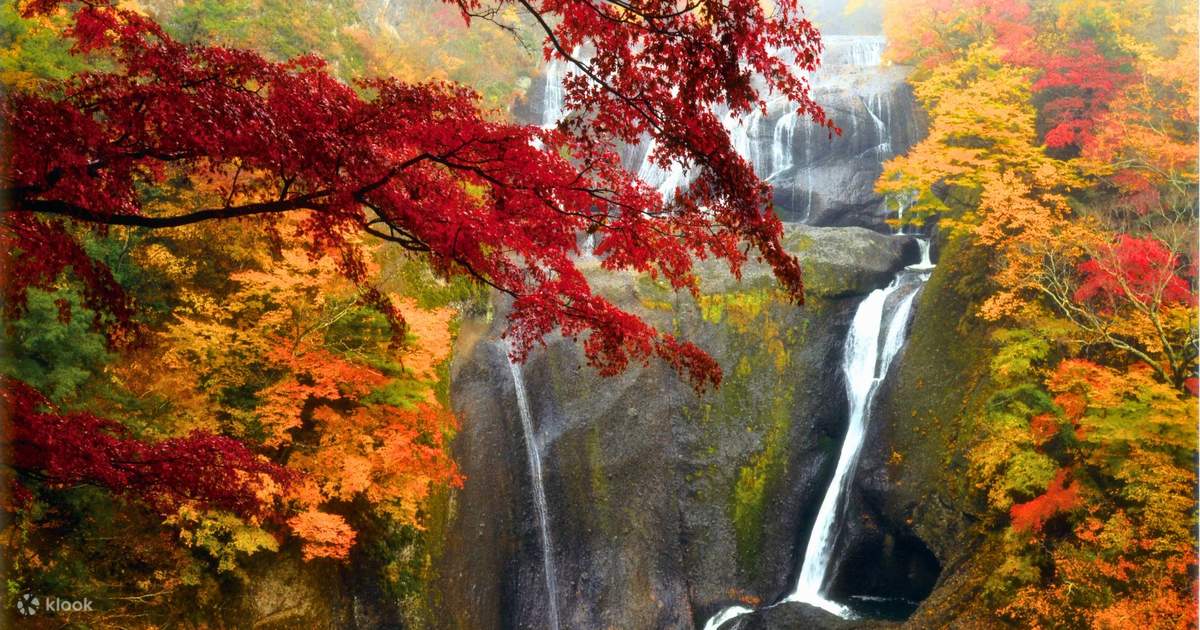 Ibaraki Fall Foliage: Baguda Waterfall & Ryujin Suspension Bridge Day ...