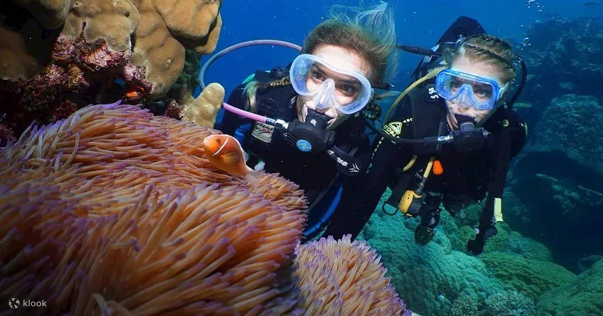 潜入冒险：马尔马里斯水肺潜水体验（两次潜水、烧烤午餐和接送服务） Klook客路