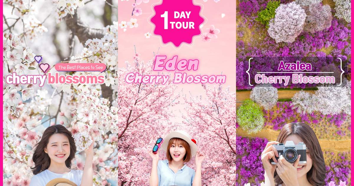 Starlight Festival of the Garden of Morning Calm - Klook
