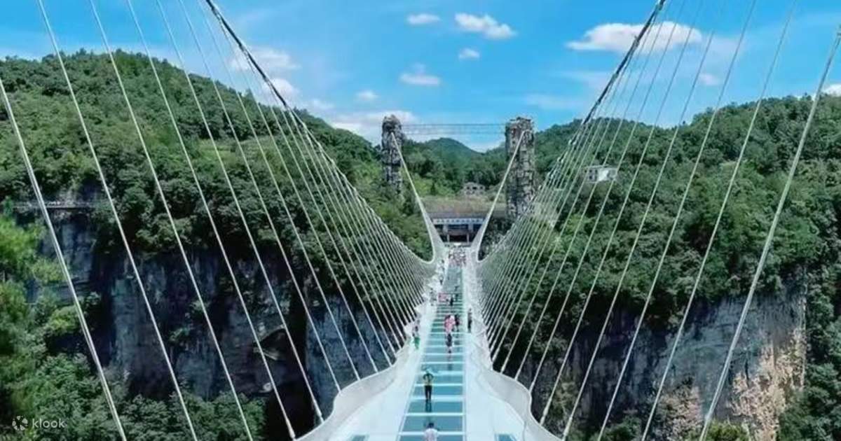 Hunan Zhangjiajie Grand Canyon Glass Bridge Canyon Adventure Day Tour ...