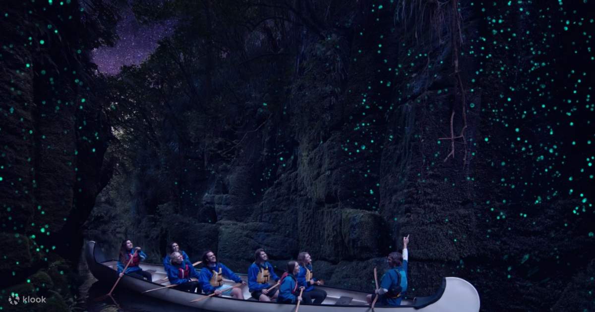 Evening Canoe Experience in Tauranga - 클룩 KLOOK 한국