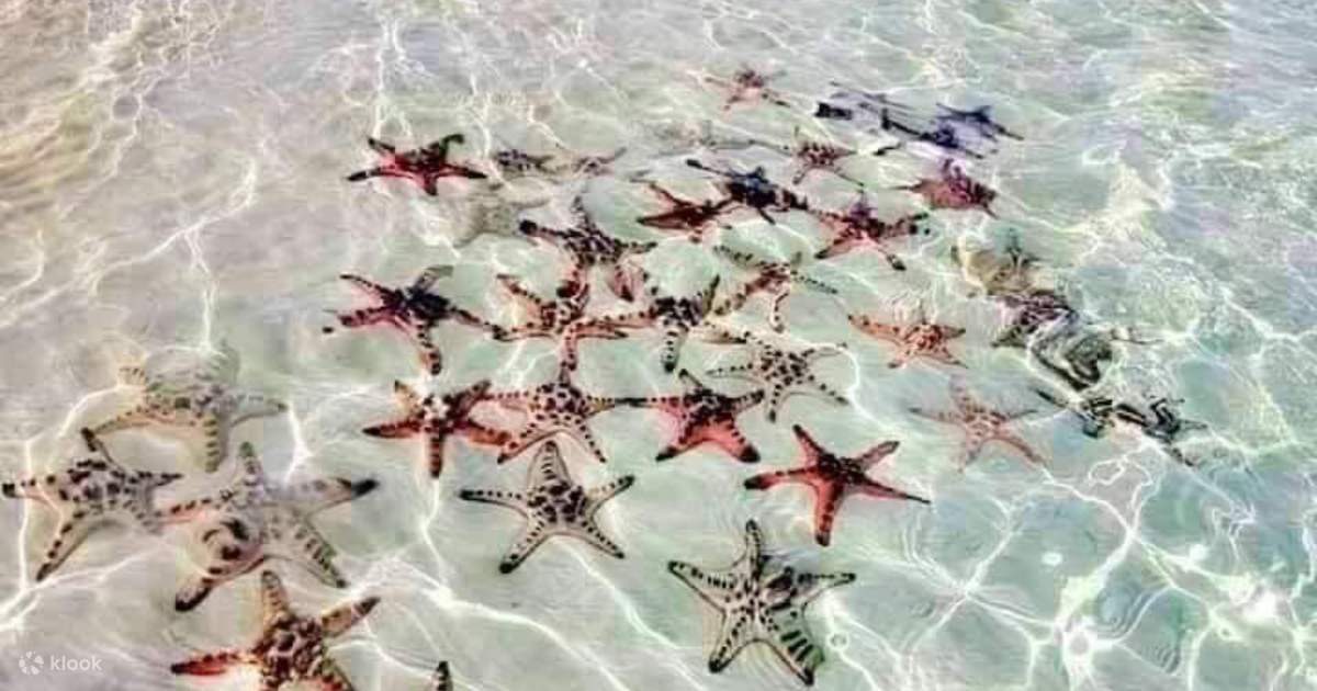 Little Boracay of Batangas - Klook Philippines