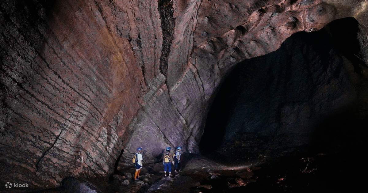 Gua Sireh Cave and Croc Mud Image Full Day Tour in Sarawak, Malaysia ...