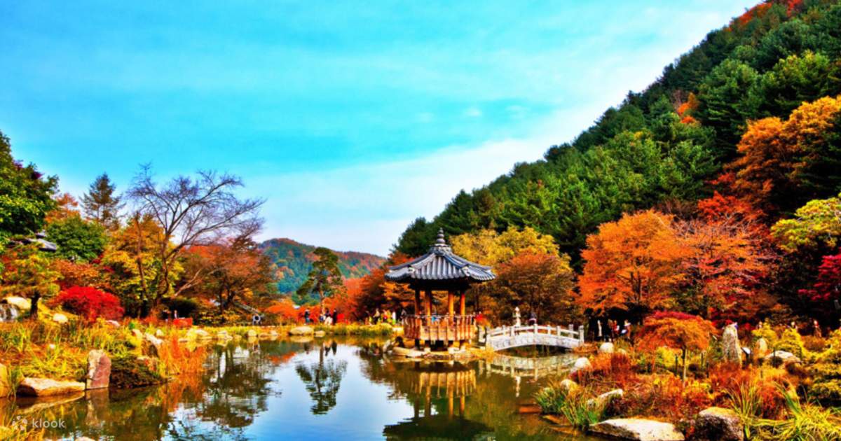 Seoul to Gangwon-do and Gyeonggi-do - Klook