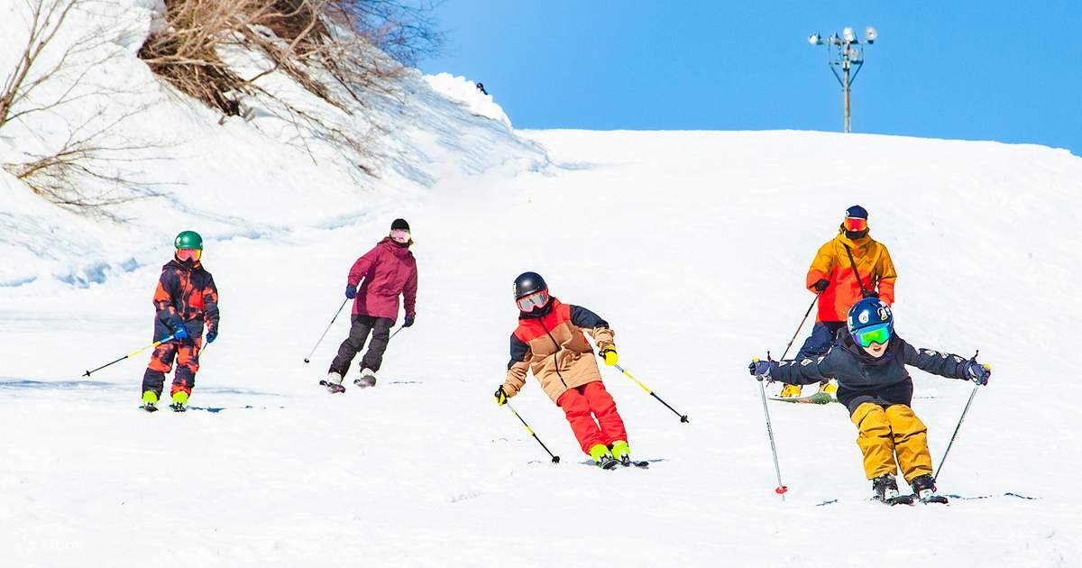 From snowy mountain debut to powder riding! Online reservation for - Klook