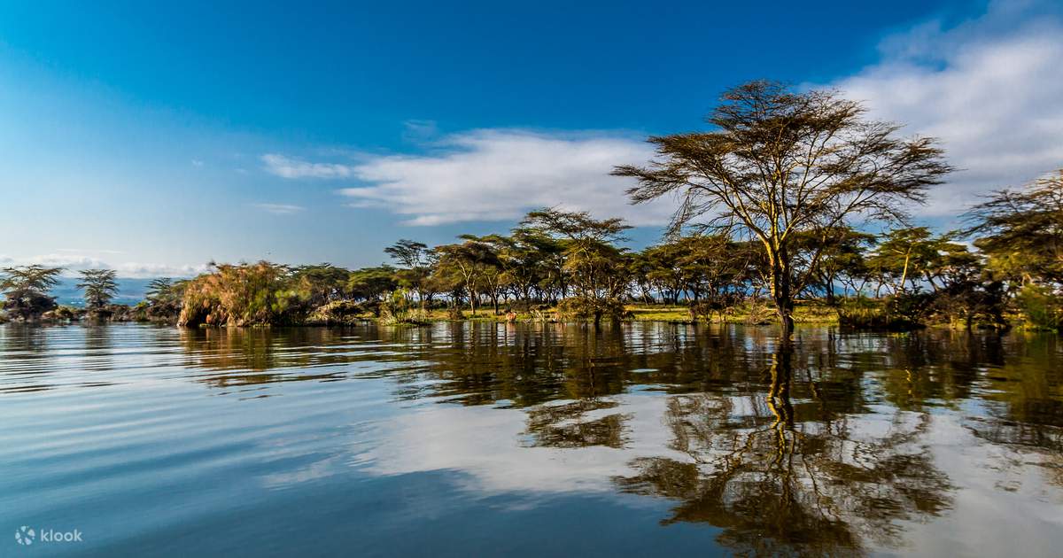 Unforgettable Crescent Island Walking Safari Naivasha - Klook