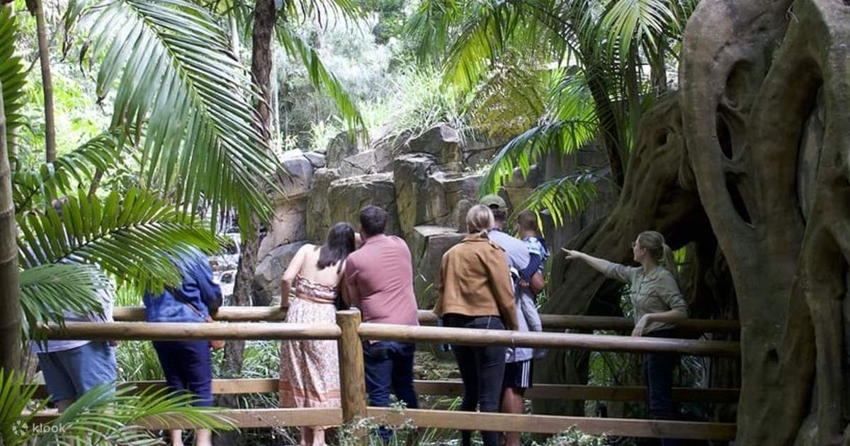 Scenic Rim Glow Worm 3-Hour Tour from Gold Coast or Brisbane - Klook ...