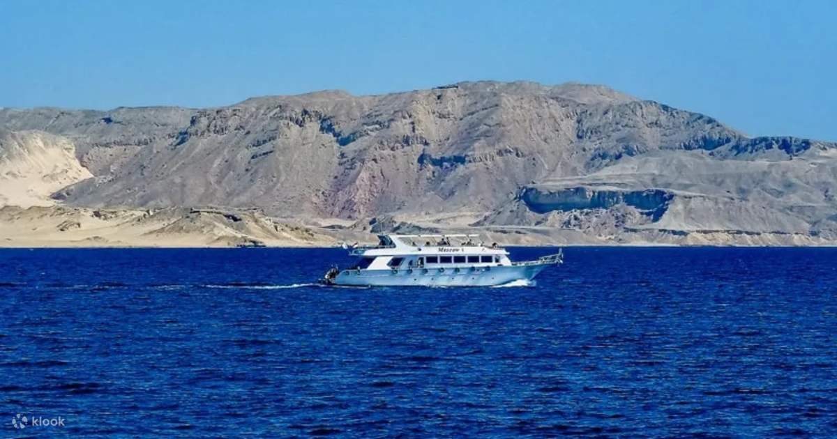 Escursione di snorkeling all'Isola di Tiran, pranzo e transfer - Sharm ...