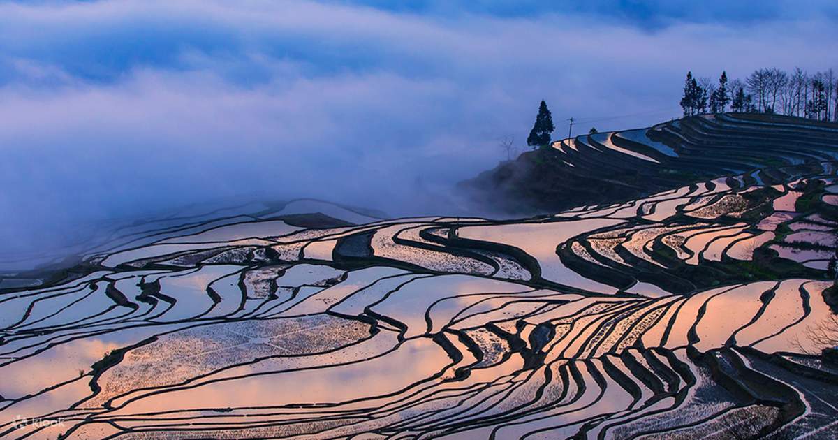 5-day tour of Southeast Yunnan (5-9 seater car | Hani terraces | Hani ...