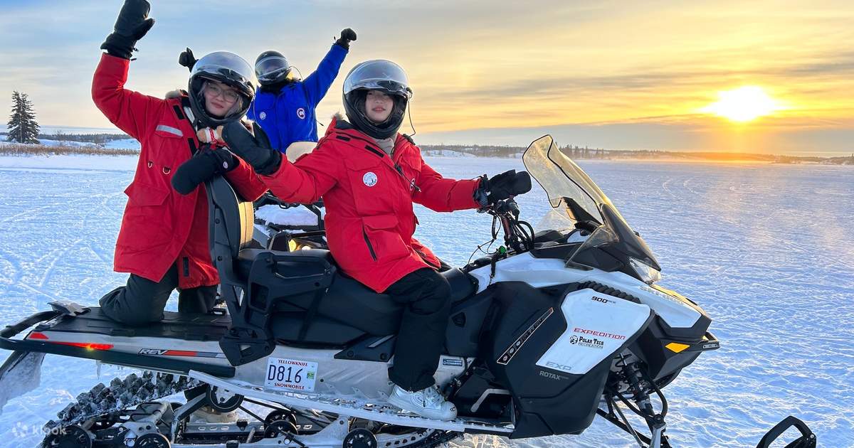 Aurora Winter Experience with Snowmobile - Klook Singapore