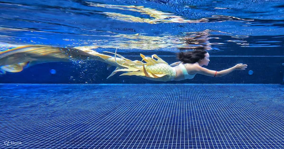 Explore the Magic: PADI Discover Mermaid in Kota Kinabalu with PADI ...