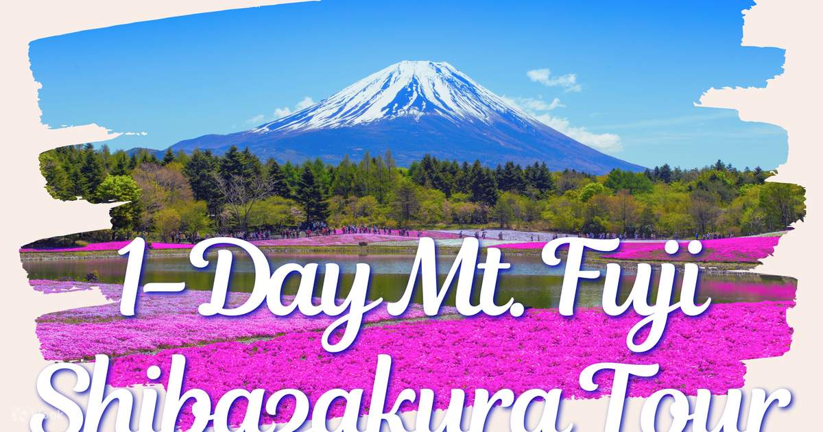 1-Day Mt. Fuji Shibazakura Tour 2025 from Shinjuku - Klook Stati Uniti