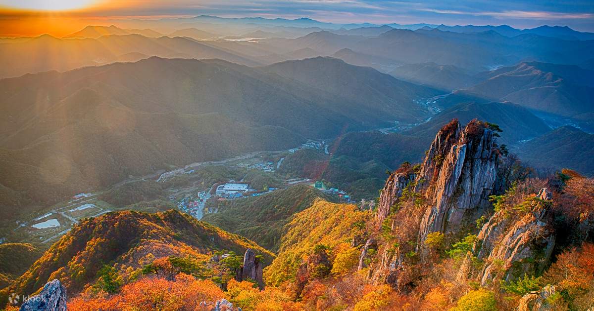 Palgongsan Natural Park Autumn Foliage Day Tour from Busan - Klook