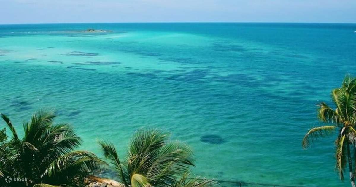 Excursion privée d'une journée complète à Key West au départ de Miami ...