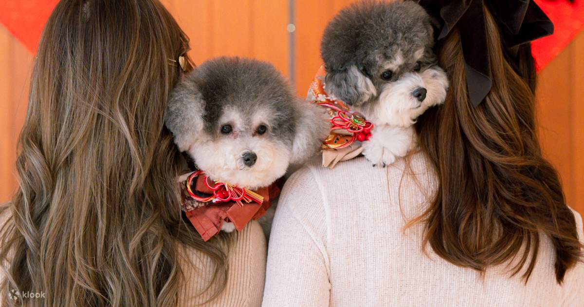 Celebrate the Lunar New Year: Year of the Dragon Family Portrait ...