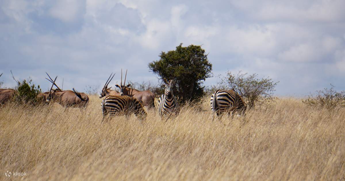 Hell's Gate: Where Your Wildest Kenyan Dreams Come True - Klook Singapore