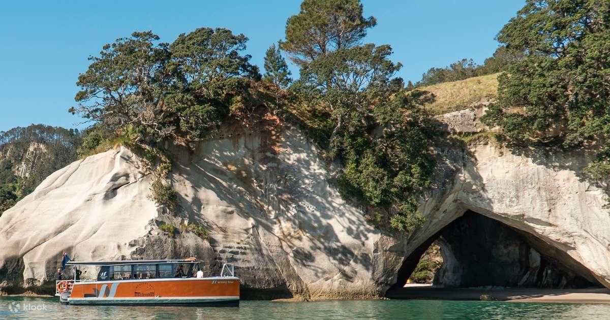 Cathedral Cove, Coast & Cave Tour - Mercury Bay Discoveries - Klook Canada