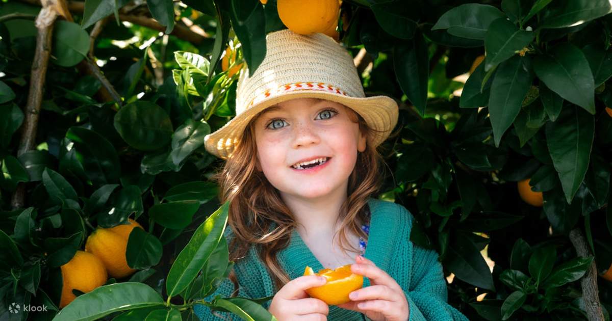 1-Hour Melbourne's Yarra Valley Orchard Tour - Klook Stati Uniti