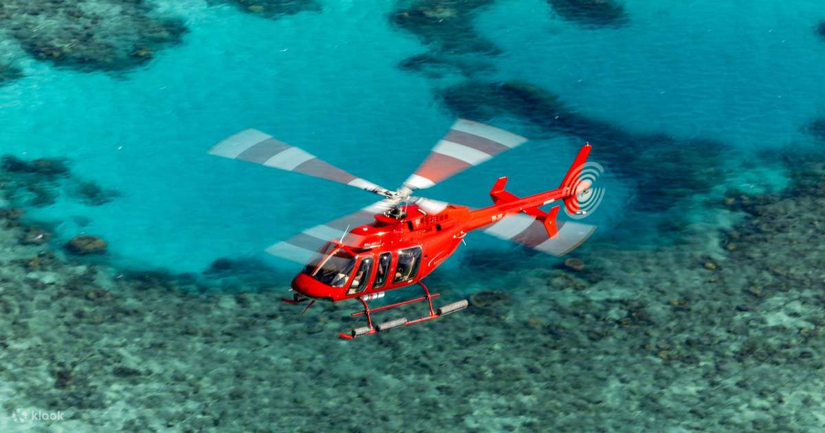 Moore Reef Scenic Helicopter Ride and Cruise from Cairns, Australia - Klook