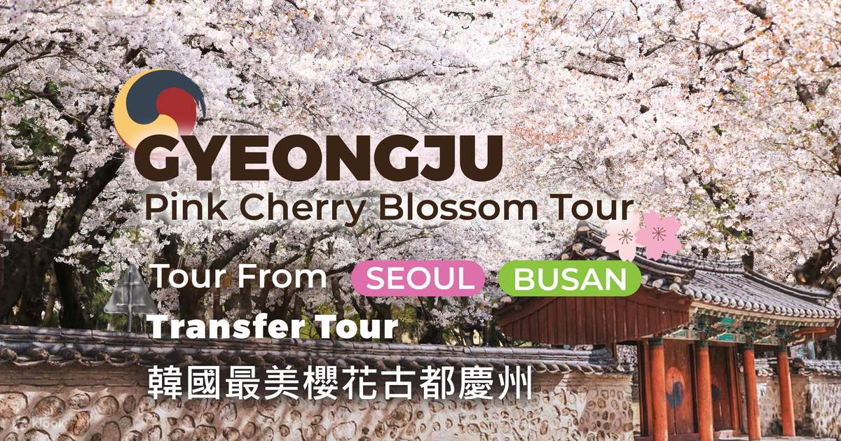 Gyeongju Cherry Blossom Tour from SEOUL / BUSAN - Klook Estados Unidos