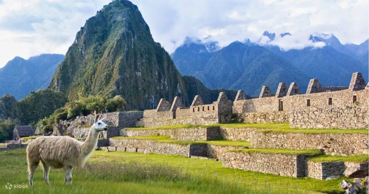 2D1N Machu Picchu Tour via Hidroelectrica - Klook Philippines