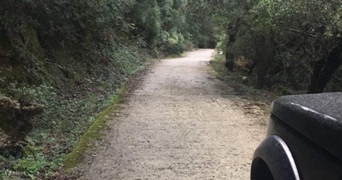 Explorez davantage le sud de Corfou : Découvrez la beauté du sud ...