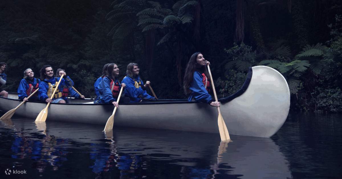 Evening Canoe Experience in Tauranga - Klook