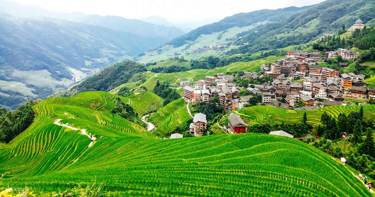 Quế Lâm Longji Ping An Rice Terraces Tour du lịch riêng 1 ngày - Klook ...