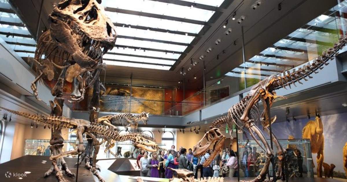 Natural History Museum Ticket in Los Angeles - Klook