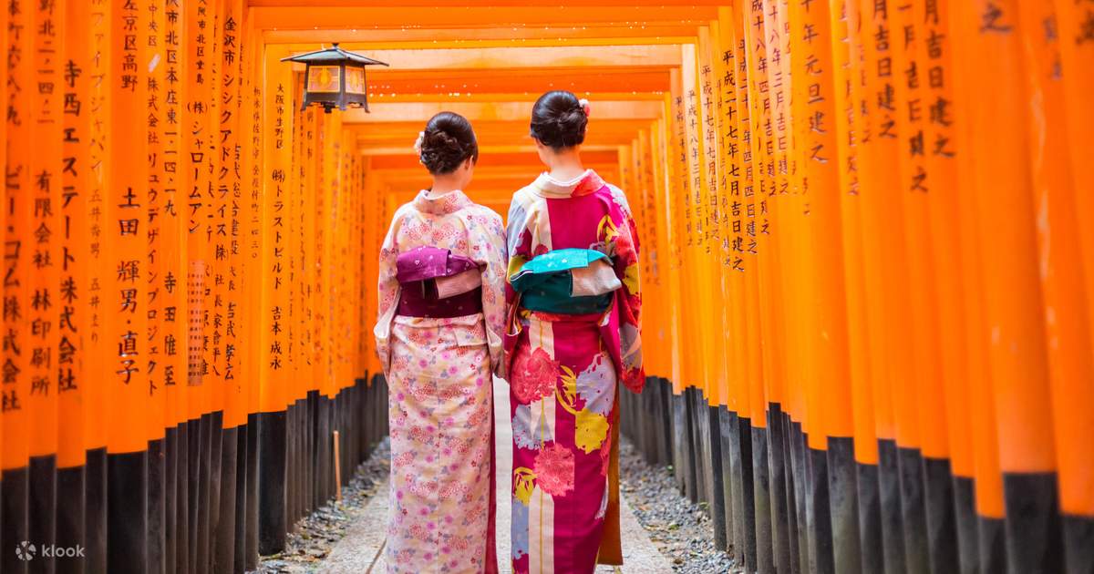 Excursion d'une journée à Fushima Inari Taisha x Ville d'Omihachiman x ...