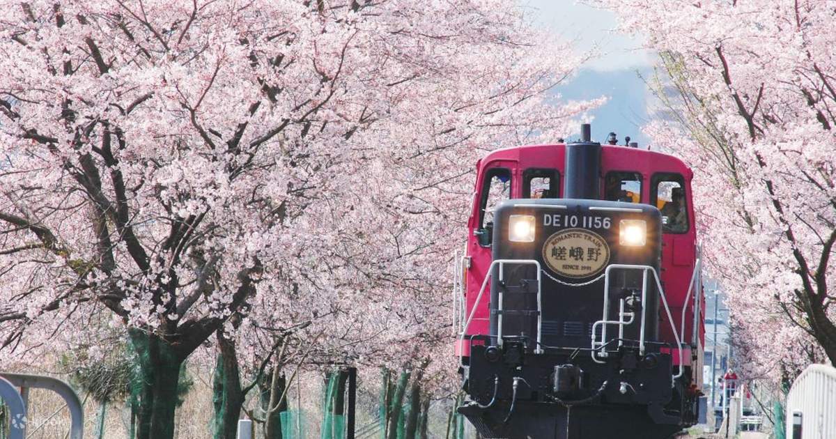 Kyoto Sagano Romantic Train Day Tour - Klook New Zealand