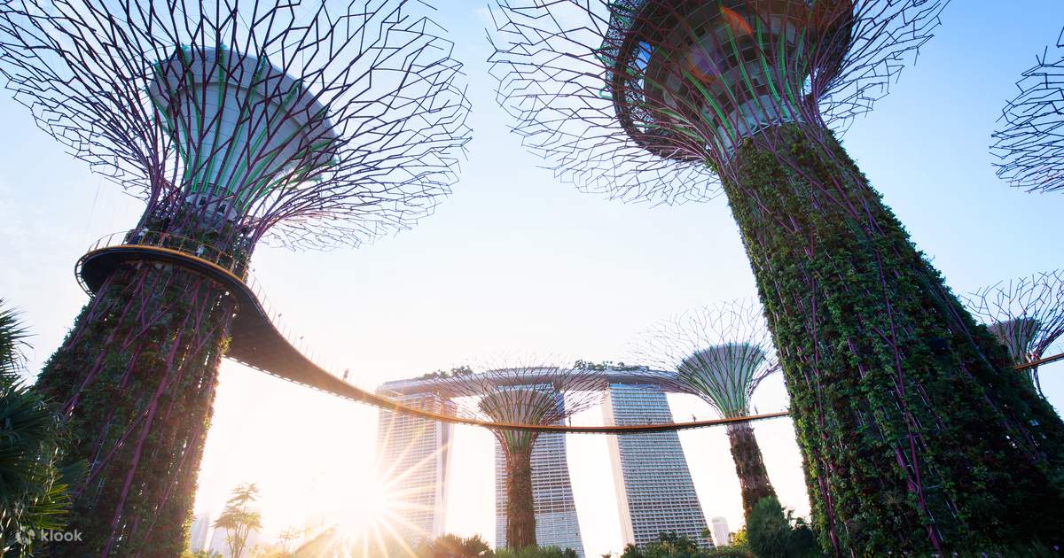 Lawatan Separuh Hari ke Gardens by the Bay (Supertree, Flower Dome ...