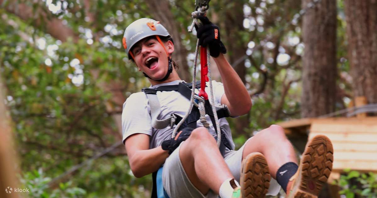 TreeTop Challenge в заповеднике дикой природы Каррамбин - Klook Россия
