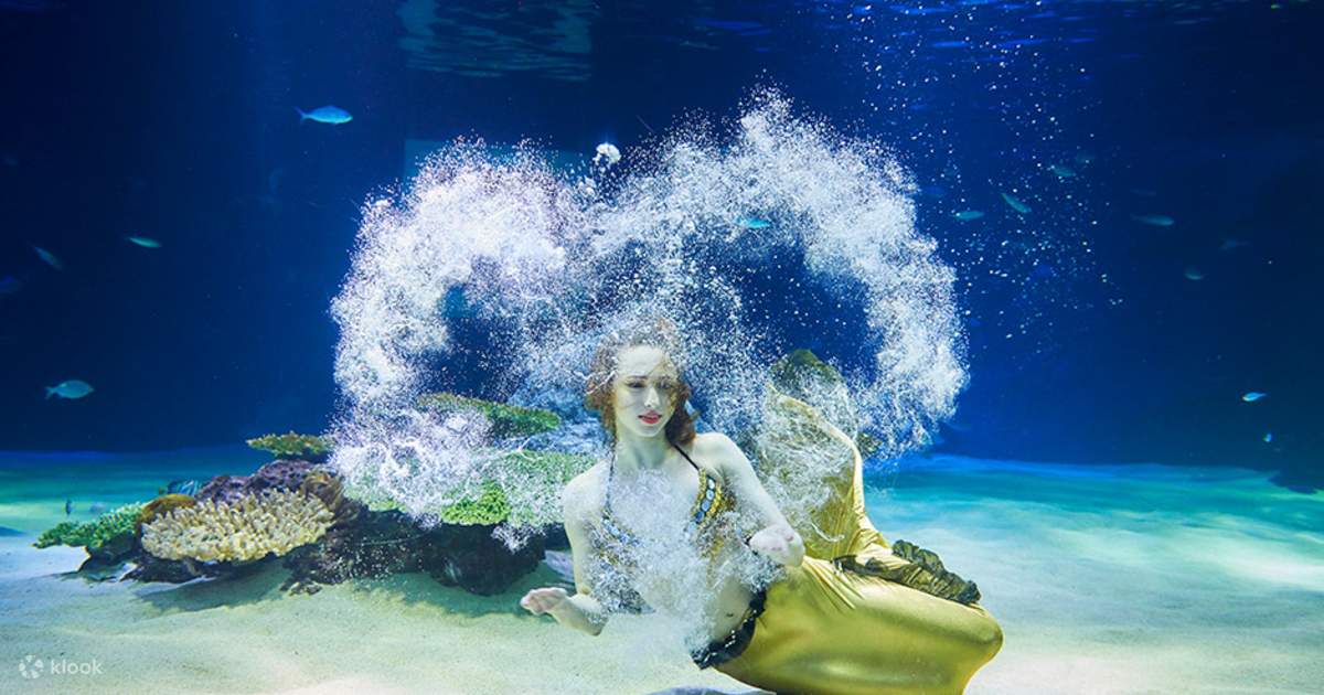 63大厦展望台 & Aqua Planet 63 水族馆门票 - Klook客路