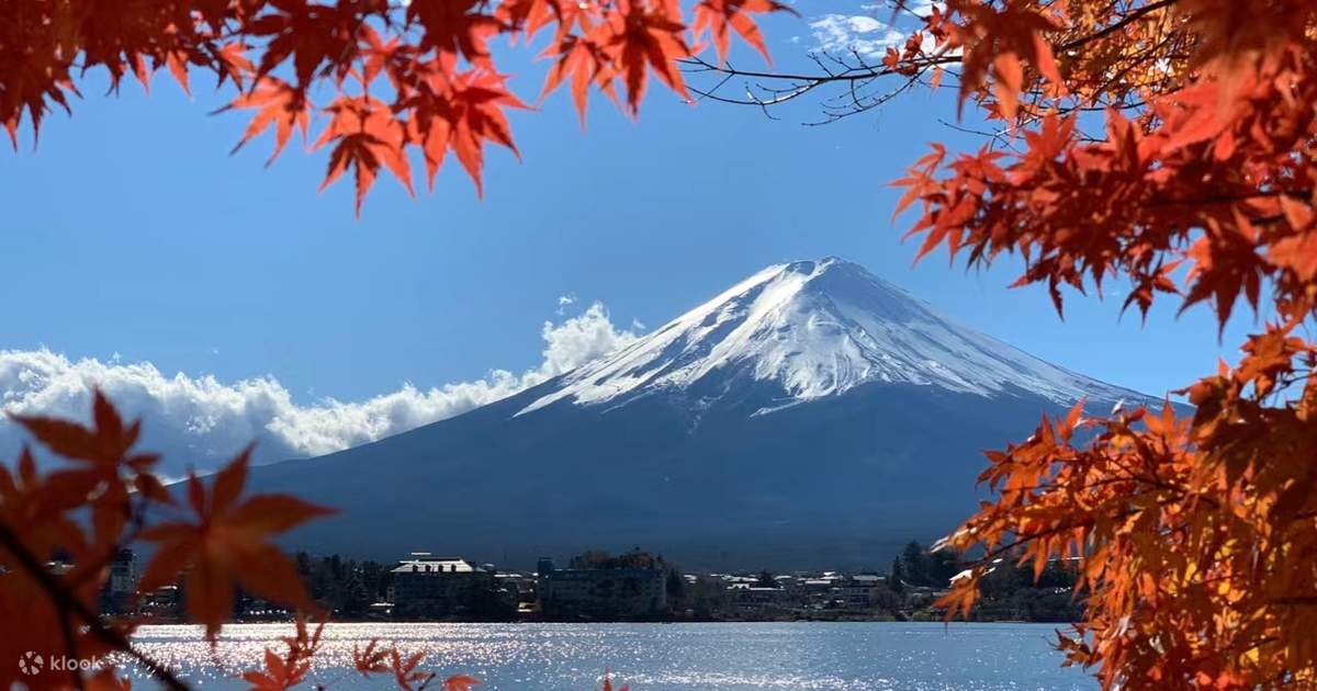 Tur Melihat Maple Satu Hari di Gunung Fuji - Klook Indonesia