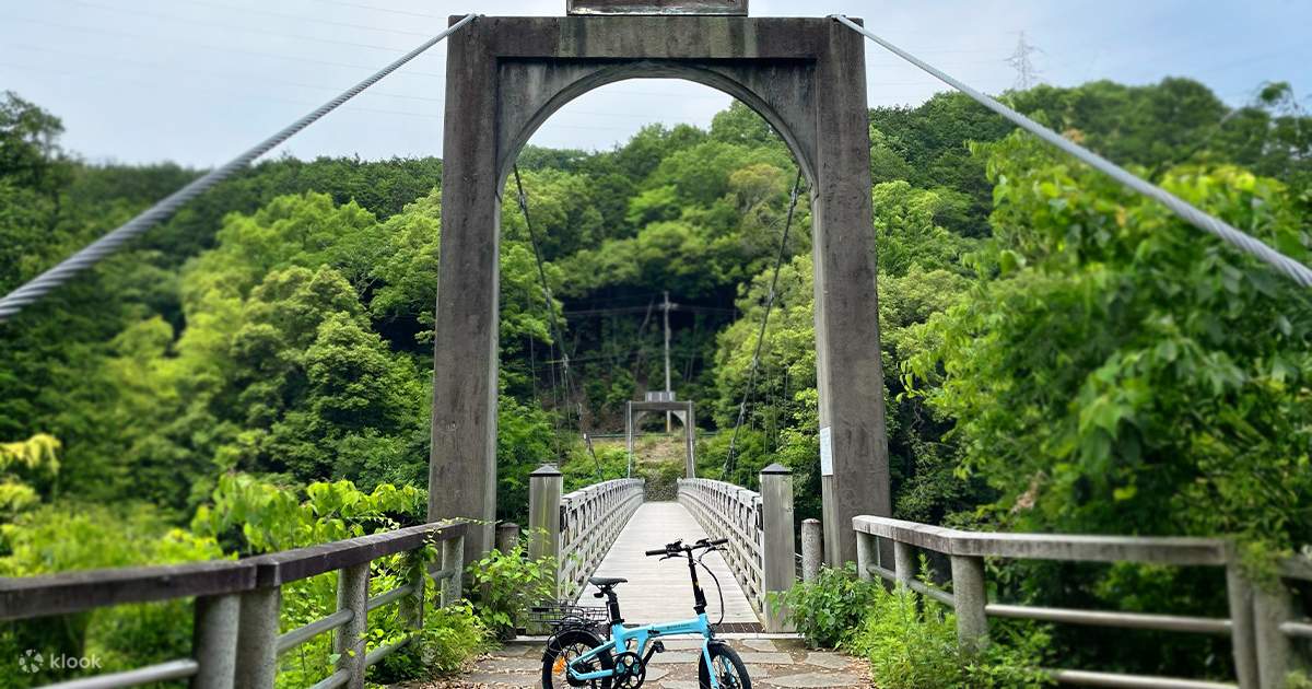 Amagase Dam & Mimuroto-ji Temple Half-day River & Temple Tour - Klook ...