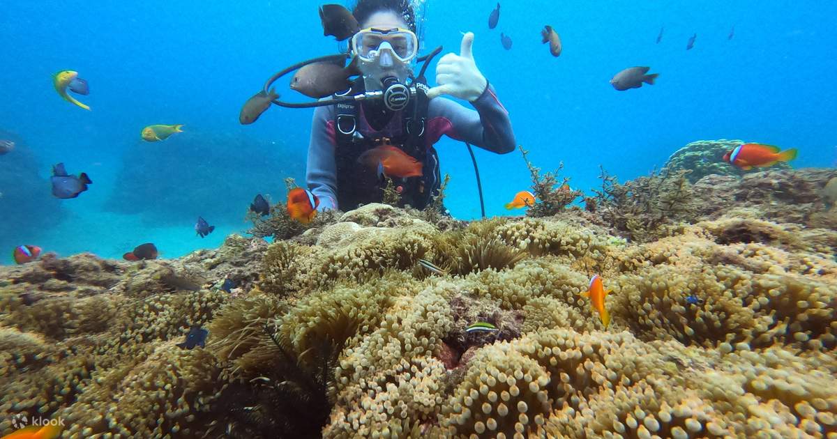 Pingtung: Kenting Wanlitong Beach Water Entertainment Trip - Diving ...