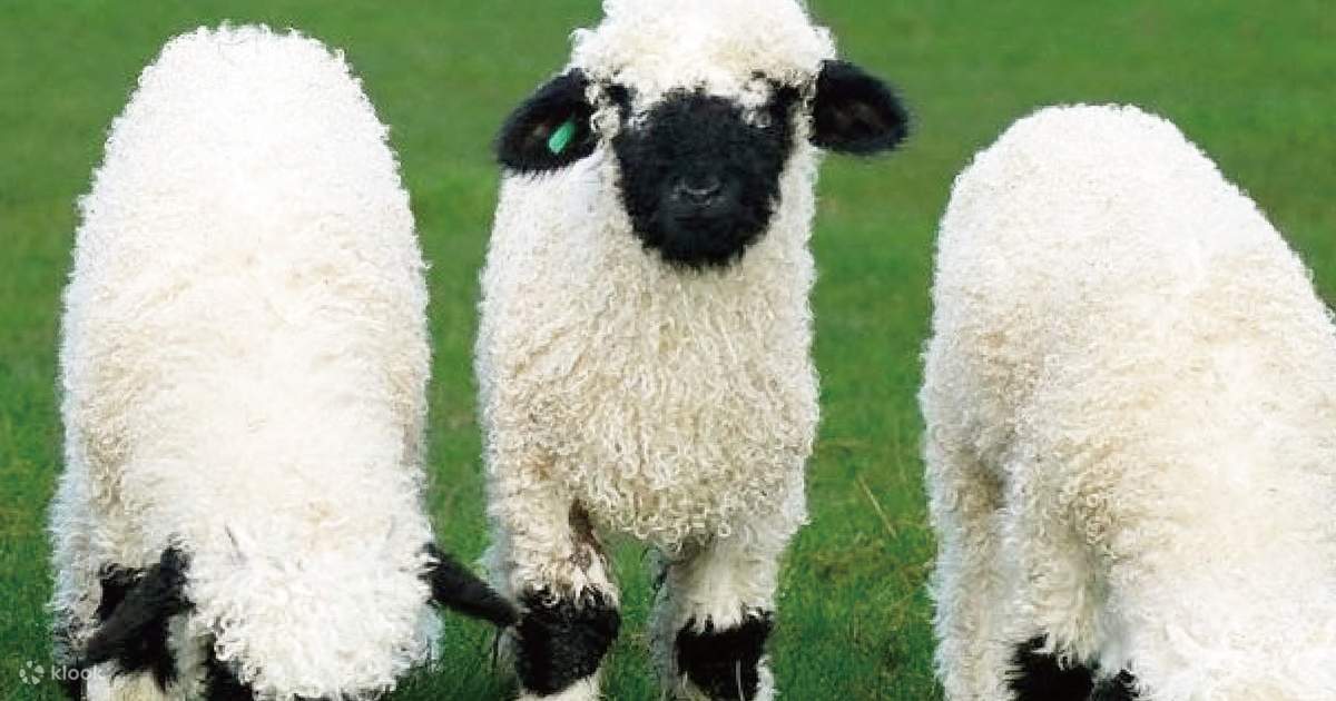 Tickets for Water and Pine Garden - Klook Philippines