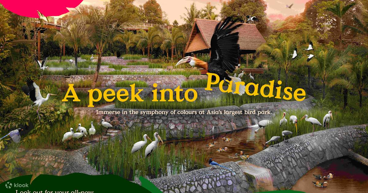 Bird Paradise Ticket in Singapore - Klook United States
