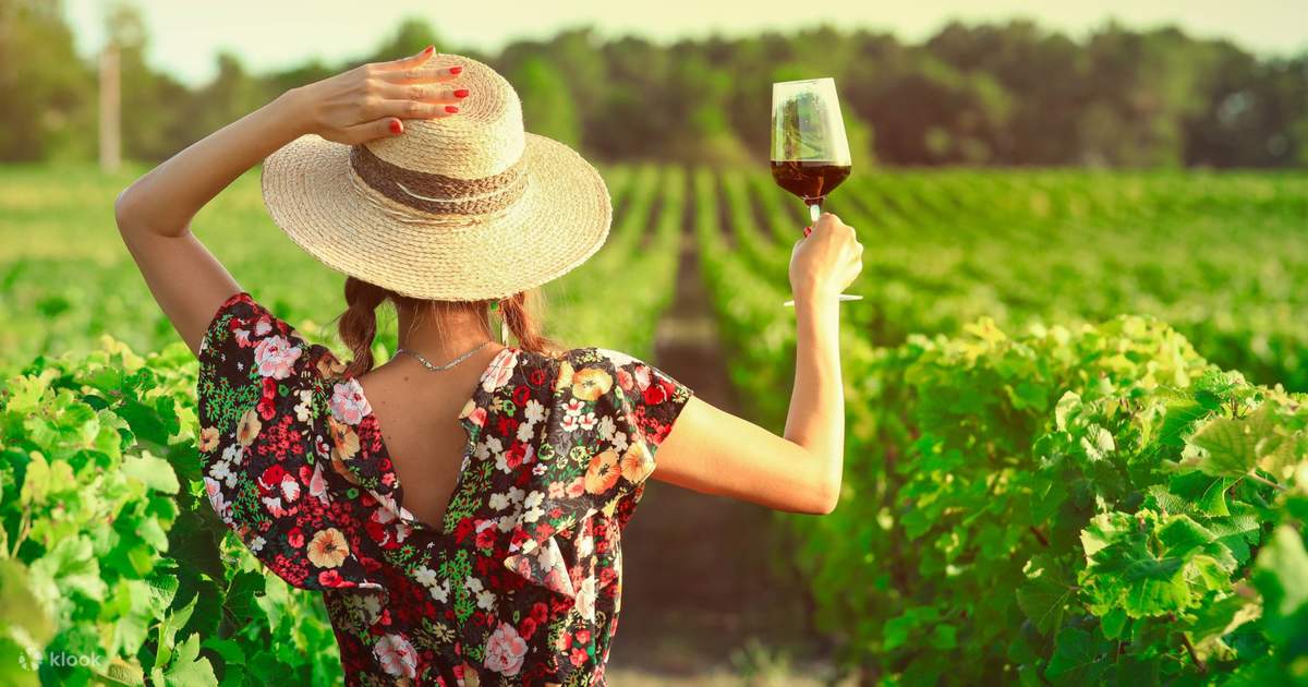 Rioja dan Ribera del Duero Wineries Private One Day Tour dari Madrid ...
