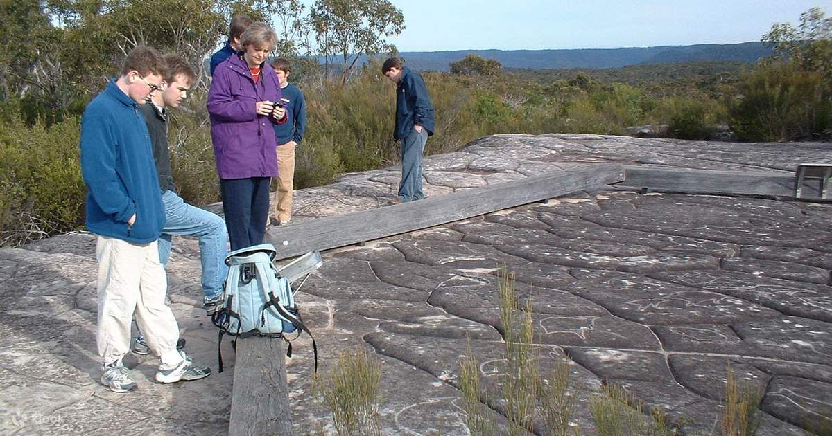 Sydney Northern Wilderness and Coastal Adventure - Klook