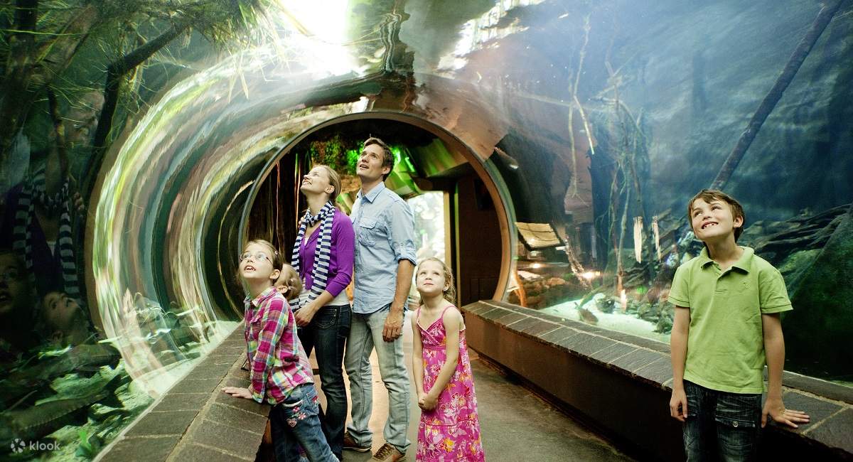 Tiergarten Schonbrunn Zoo Vienna Ticket - Klook Philippines