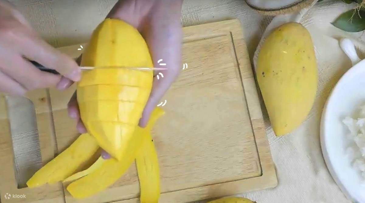 Mango Moon, Chiang Mai - Klook United States