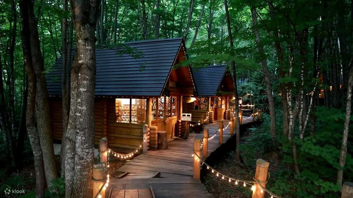 Hokkaido Asahikawa Zoo, Shikisai no oka snow park, and Ningle Terrace ...