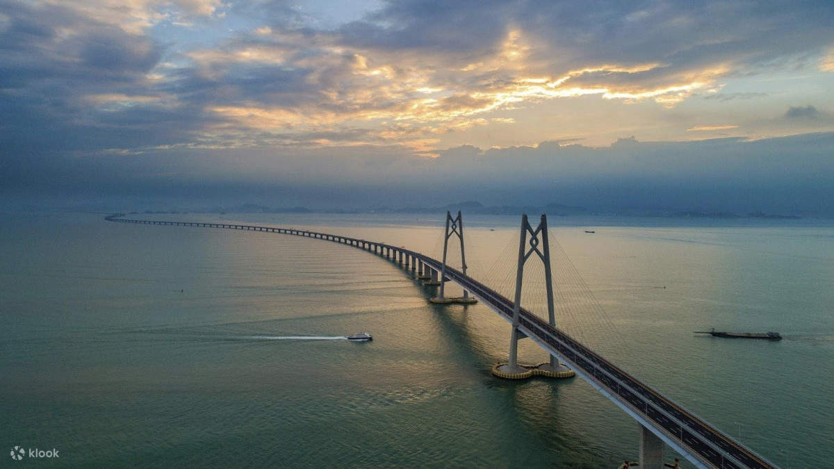 Hong Kong-Zhuhai-Macau Bridge and Pink Dolphin Sighting Tour from Hong ...