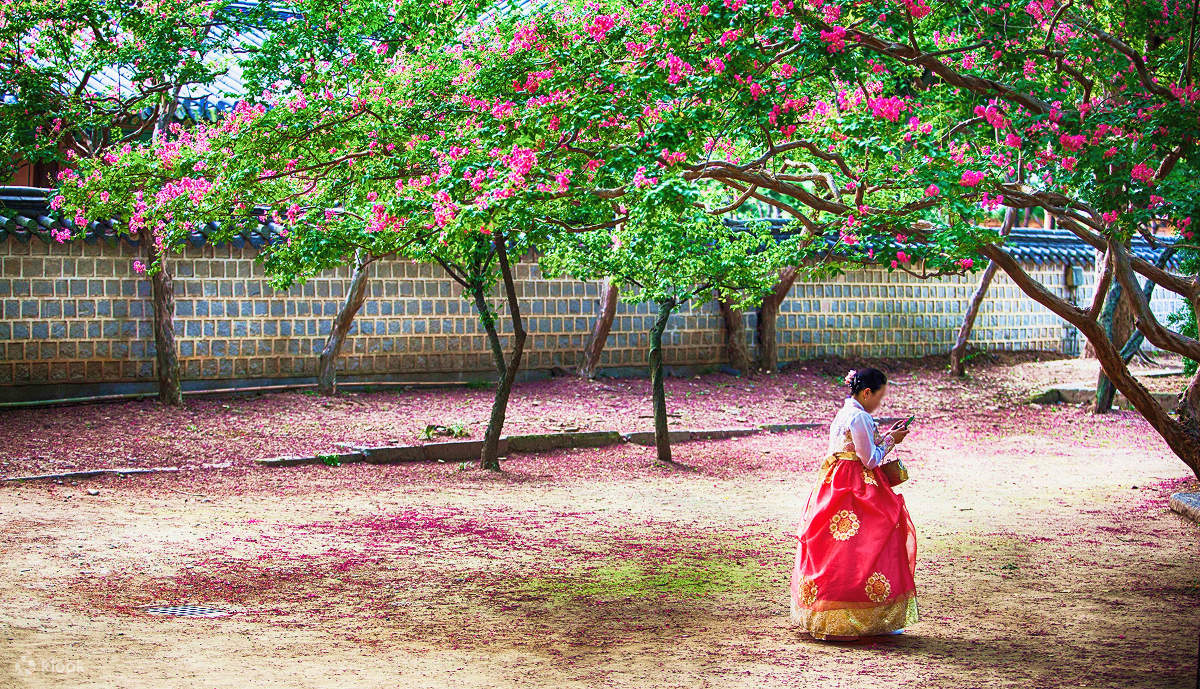 Jeonju Hanok Village & Seasonal Popular Attractions Day Tour - Klook