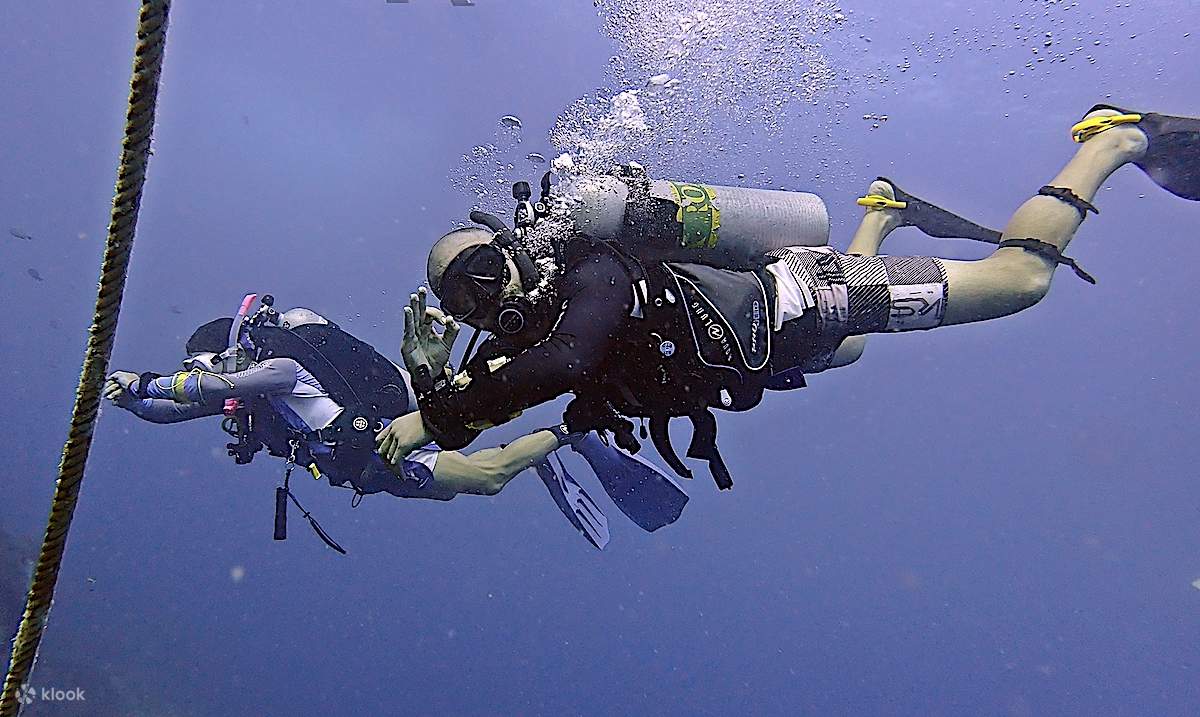 Experience an Unforgettable Morning Dive Trip in Koh Tao with PADI 5 Star CDC - Klook India